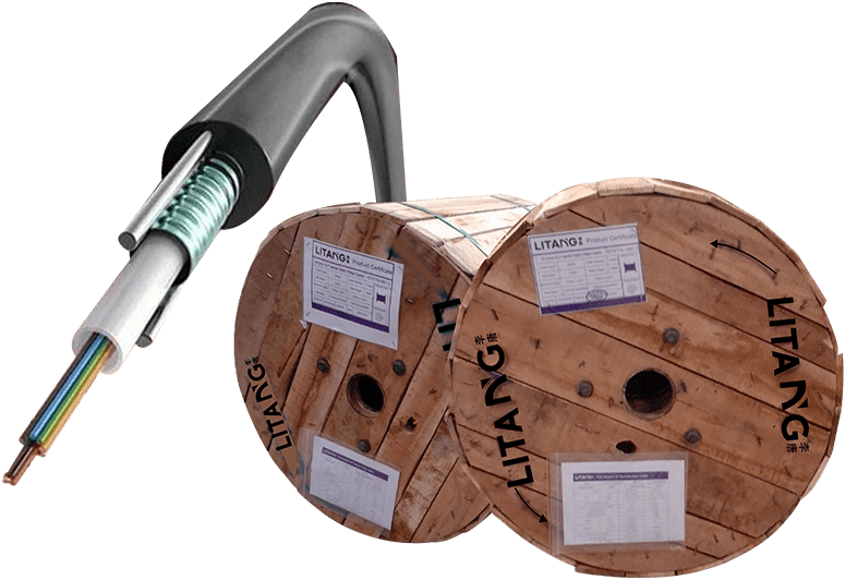 Home - NetPac: Global Tech Innovators